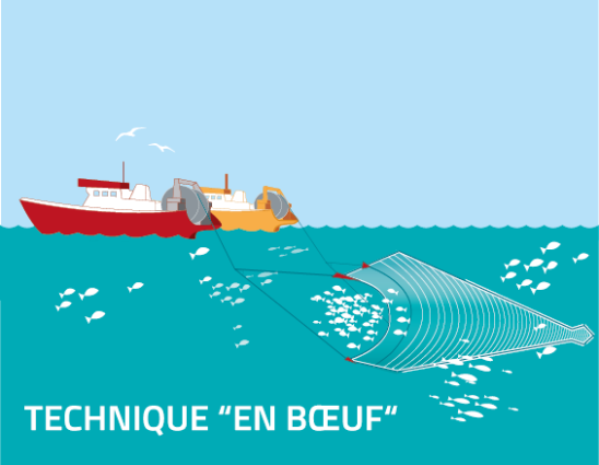 Le chalut pélagique - Les Pêcheurs de Bretagne
