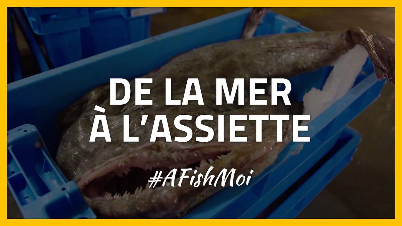 Baudroie (Lotte) - Les Pêcheurs de Bretagne